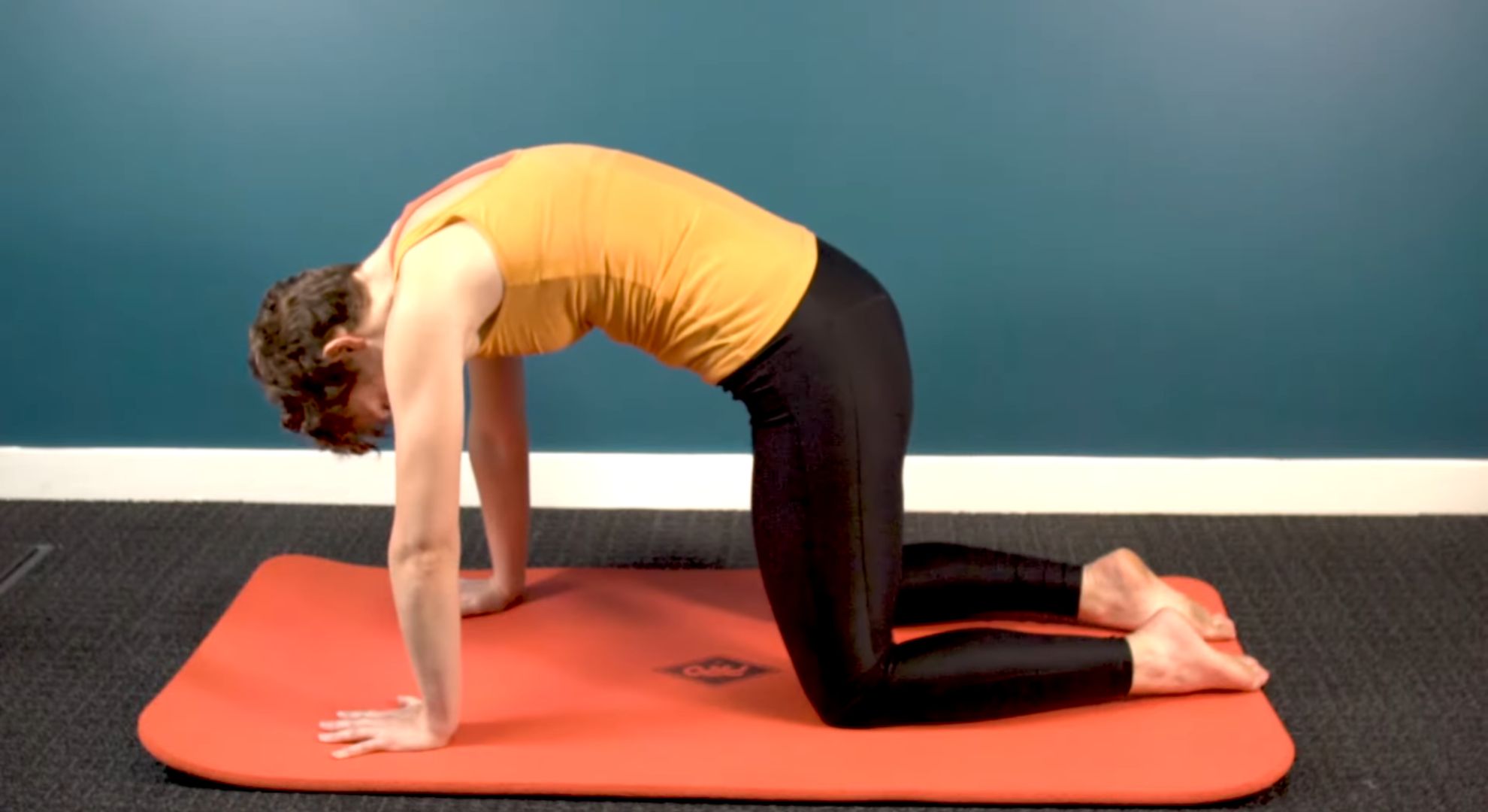 20 Simple Beginner Exercises That Anyone Can Do - HealthByWealth